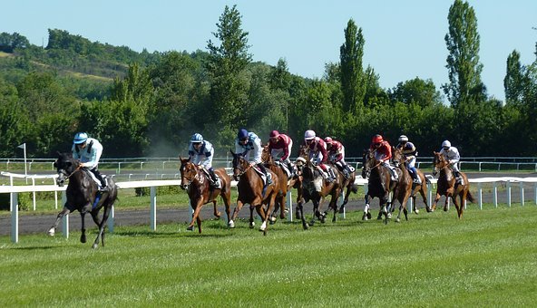 Derby in Dubai – Derby Dubai